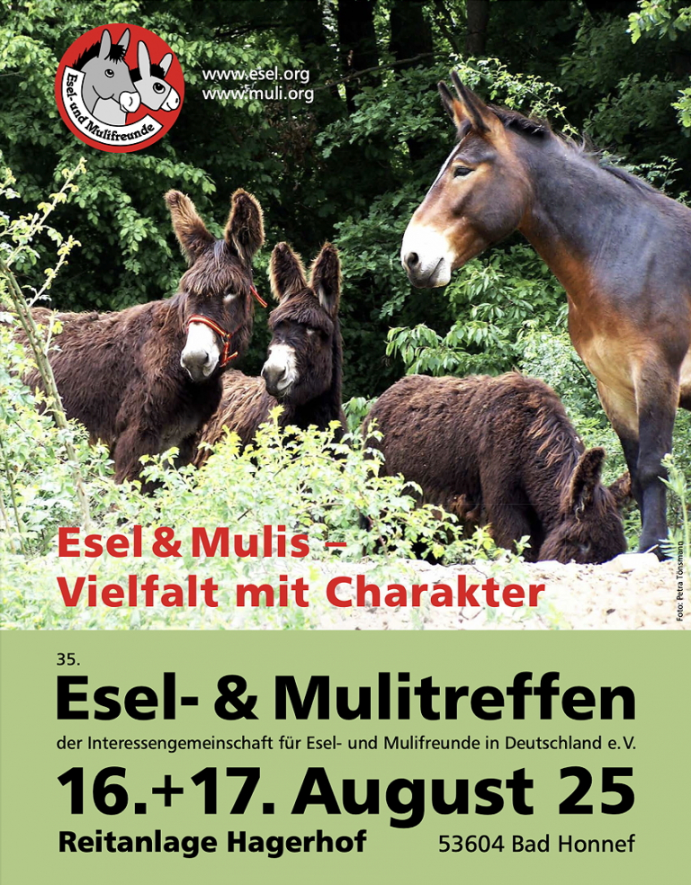 Tiervermittlung - Interessengemeinschaft für Esel- und Mulifreunde ...